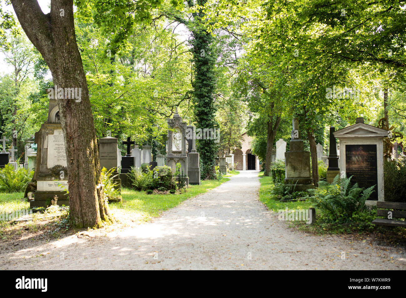 A pathway leads through the Alter Südfriedhof cemetery in the ...