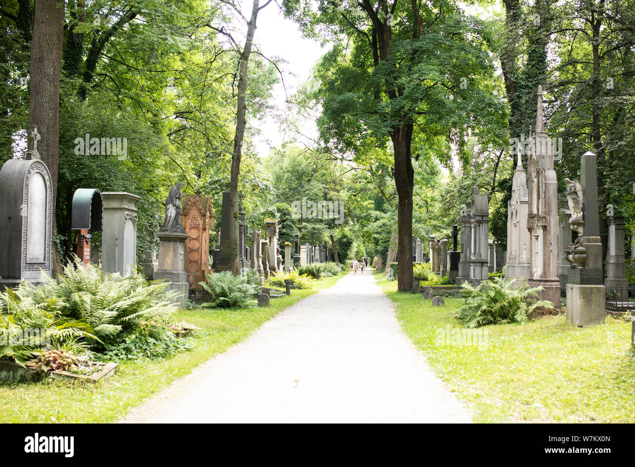Pathway cemetery hi-res stock photography and images - Alamy