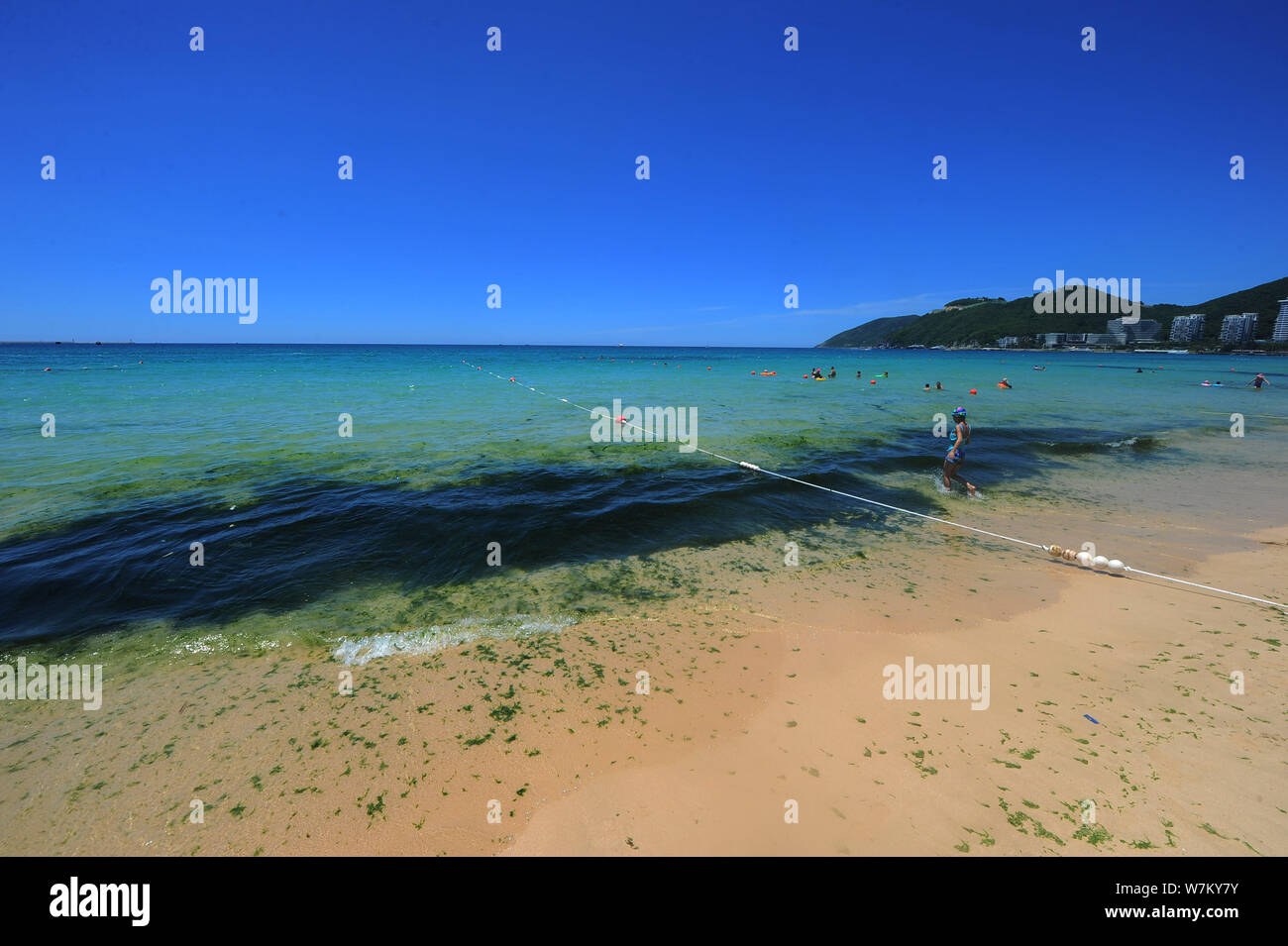Algal bloom china sea hi-res stock photography and images - Alamy