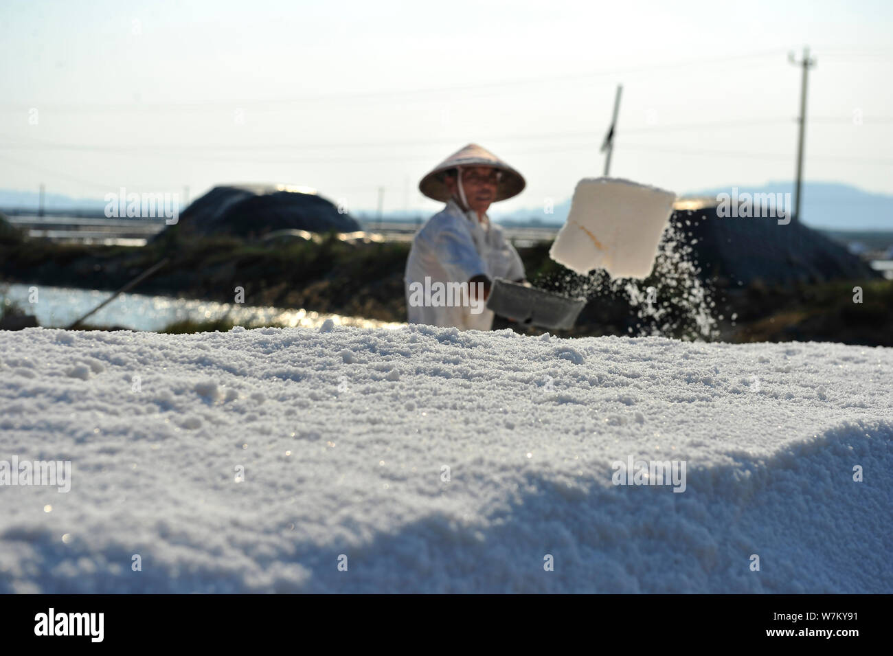 A Chinese worker piles up salt during salt farming season at a ...