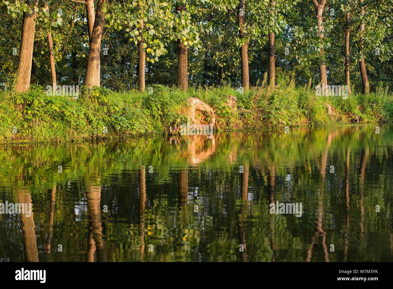 View of the Chishanhu Provincial Wetland Park in Chuzhou city, east ...
