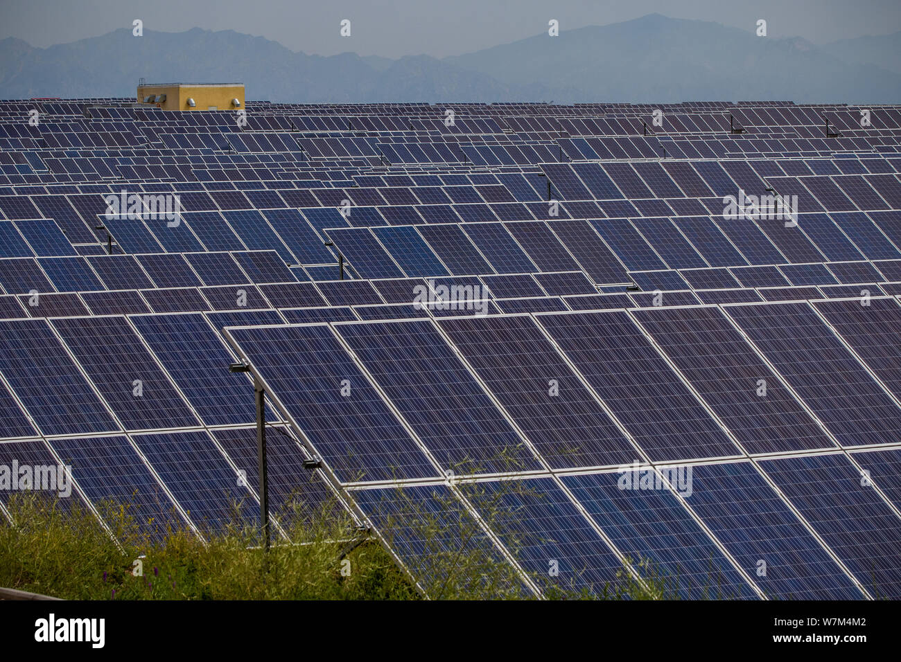 Elion hi-res stock photography and images - Alamy