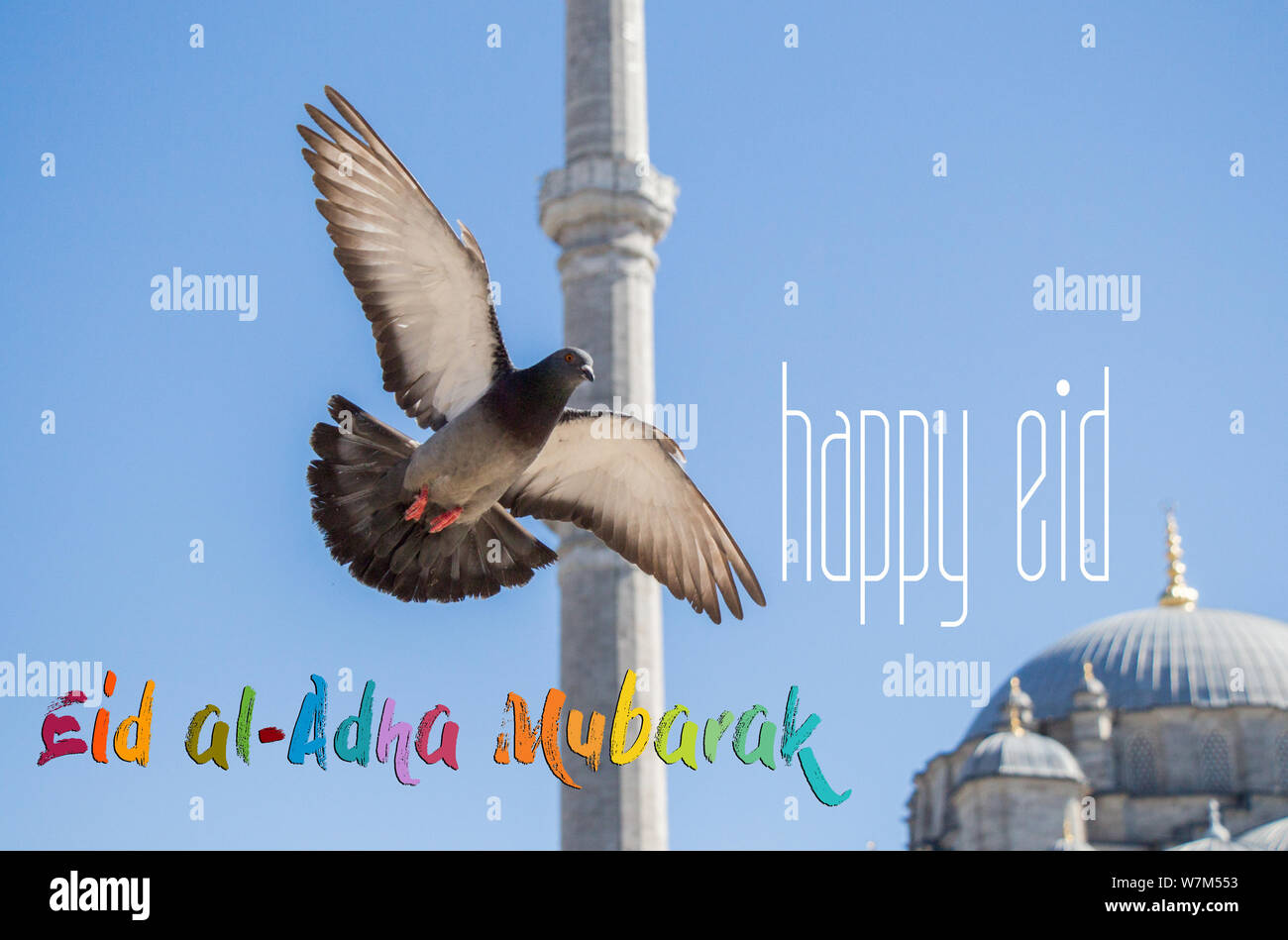 Muslim holiday festival of sacrifice, Happy Eid al-Adha mubarak wording ...