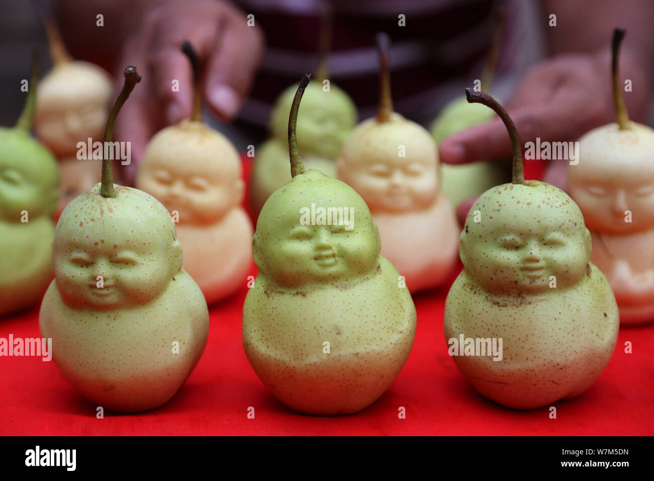 A Chinese farmer shows harvested Buddha-shaped pears at his orchard in ...