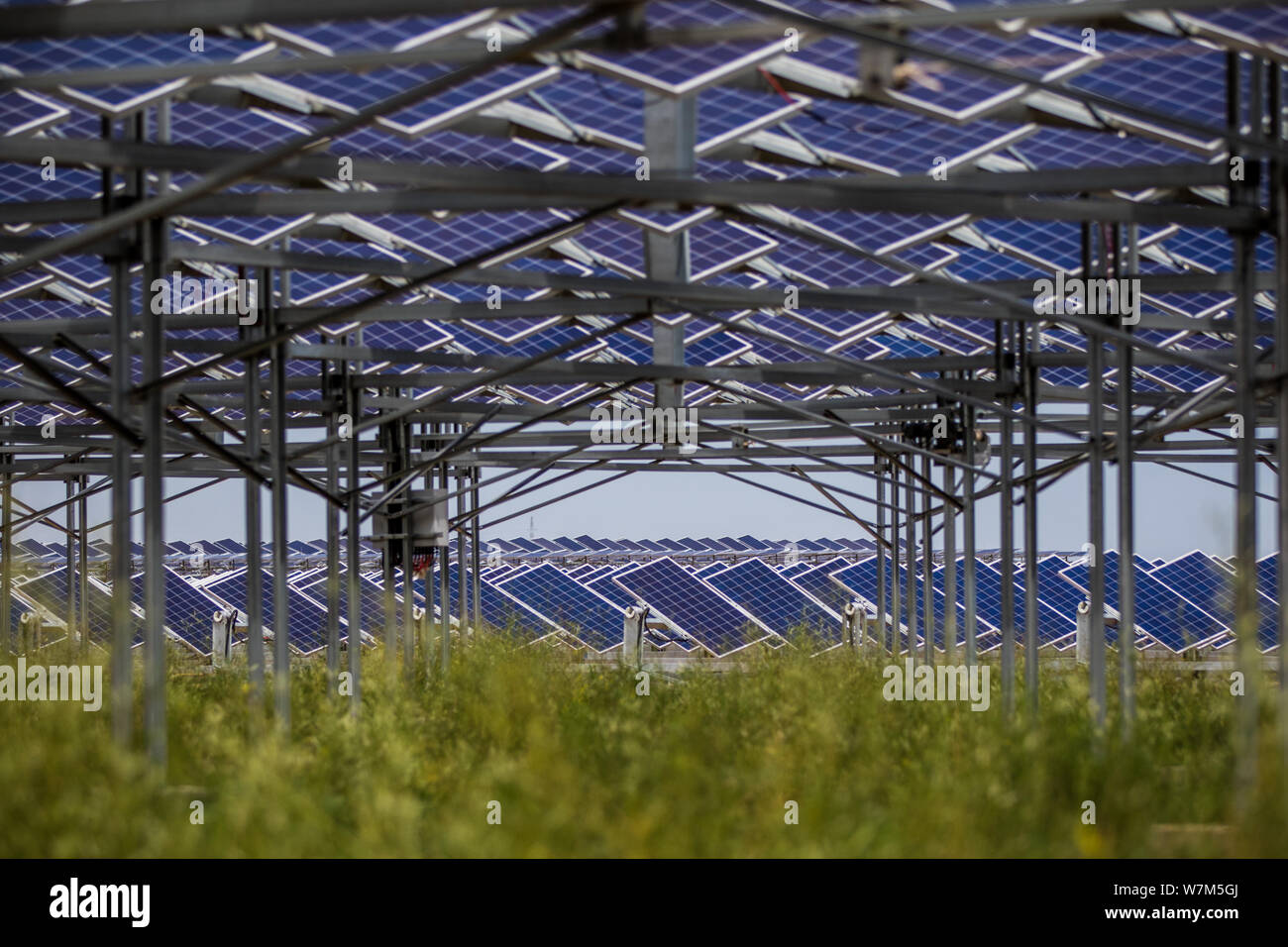 Solar panels are installed at a photovoltaic (PV) power plant of Elion ...