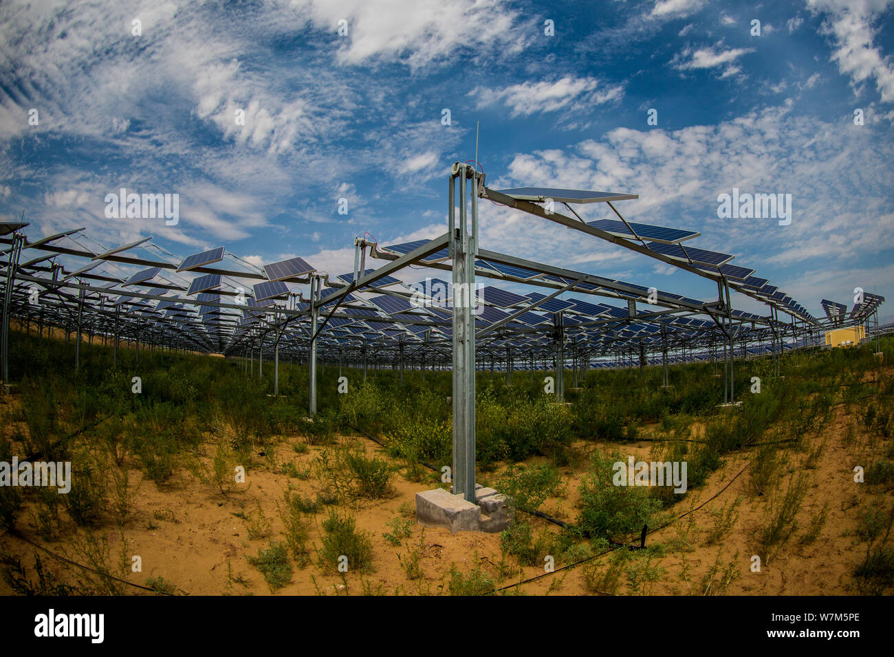 Solar panels are installed at a photovoltaic (PV) power plant of Elion ...
