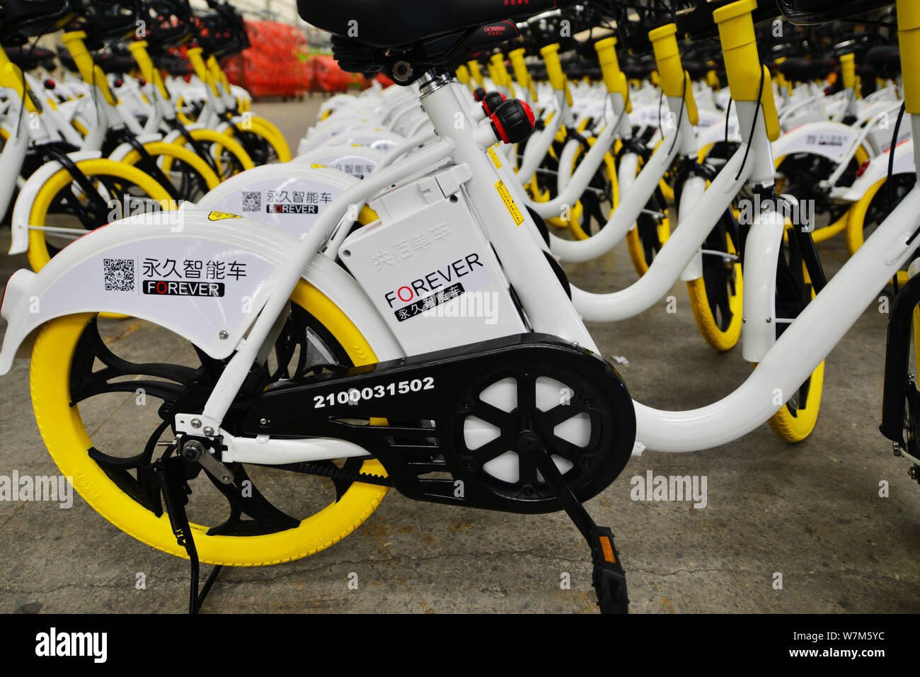 Smart shared bikes of Chinese bicycle maker Forever are lined up at a ...
