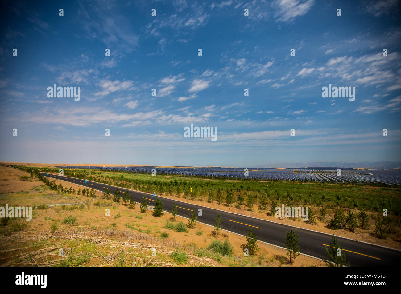 Solar panels are installed at a photovoltaic (PV) power plant of Elion ...