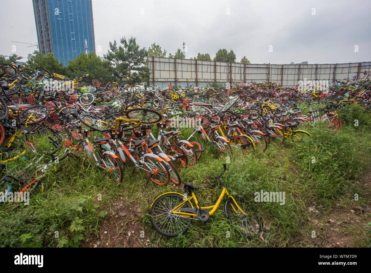 Thousands of bicycles hi-res stock photography and images - Alamy