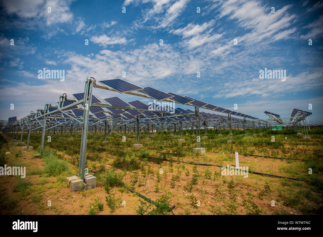 Solar panels are installed at a photovoltaic (PV) power plant of Elion ...