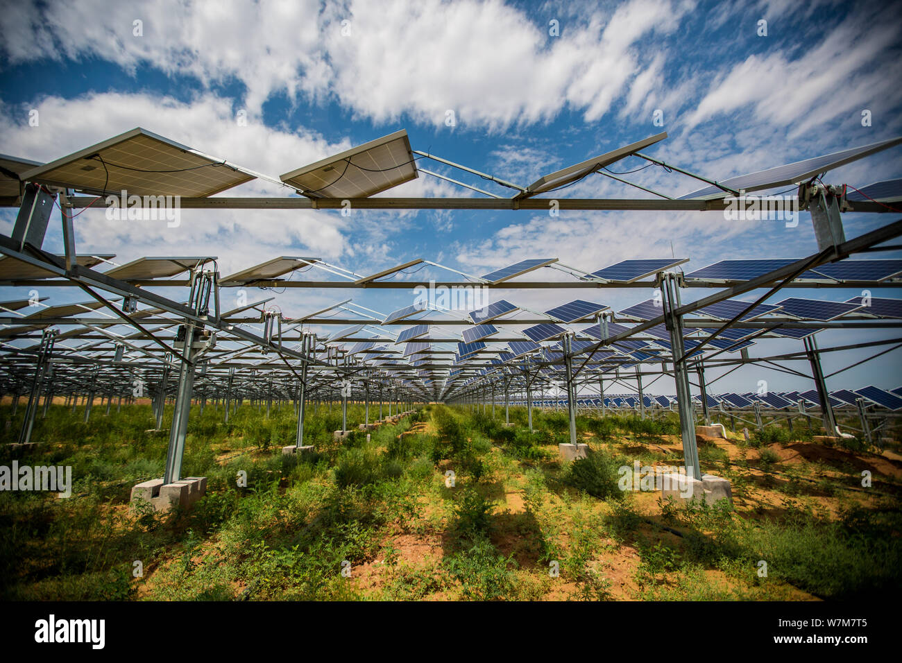 Desert china solar panels hi-res stock photography and images - Alamy