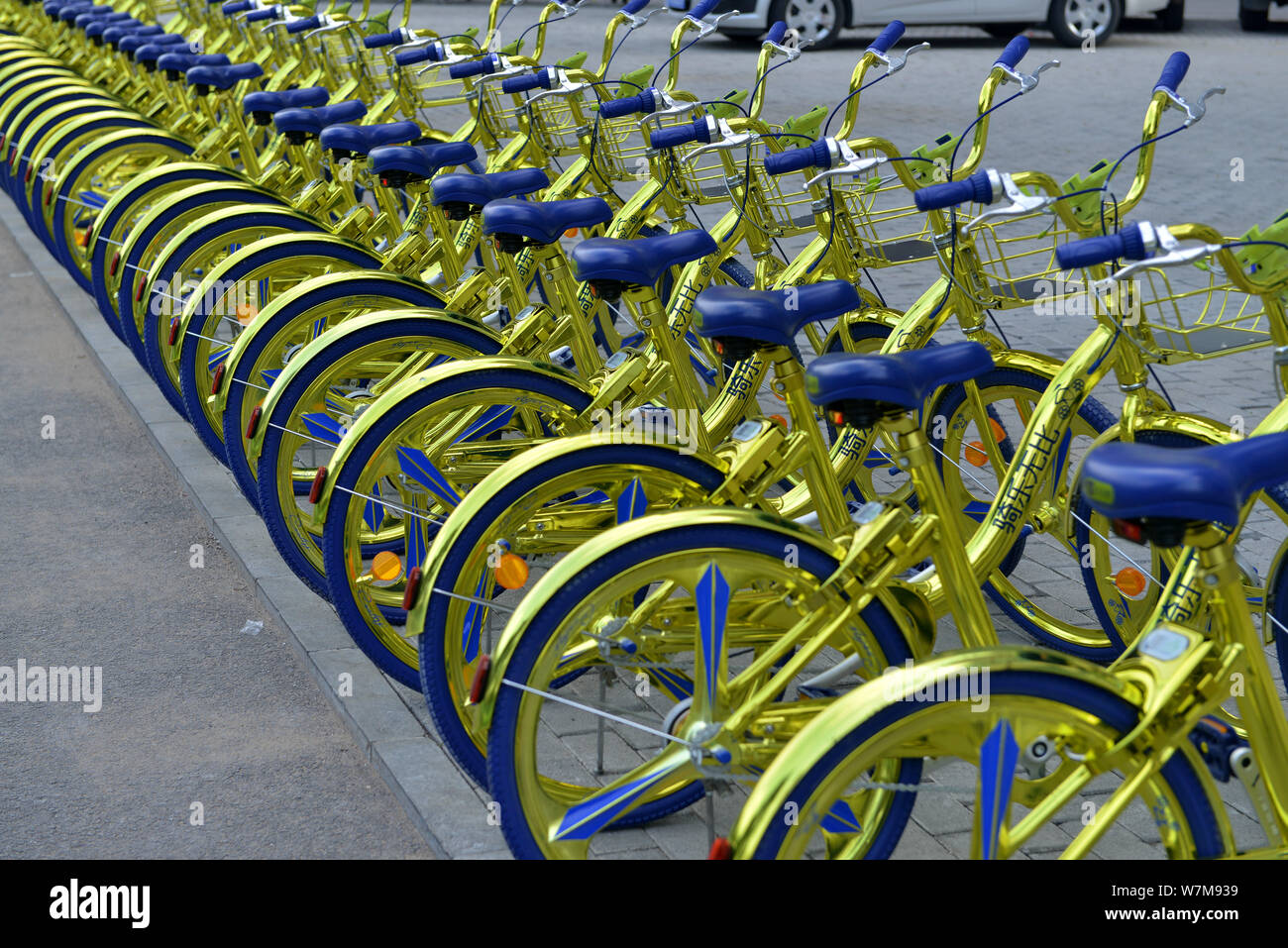 Golden bicycles of Chinese bike-sharing service Coolqi are lined up on ...
