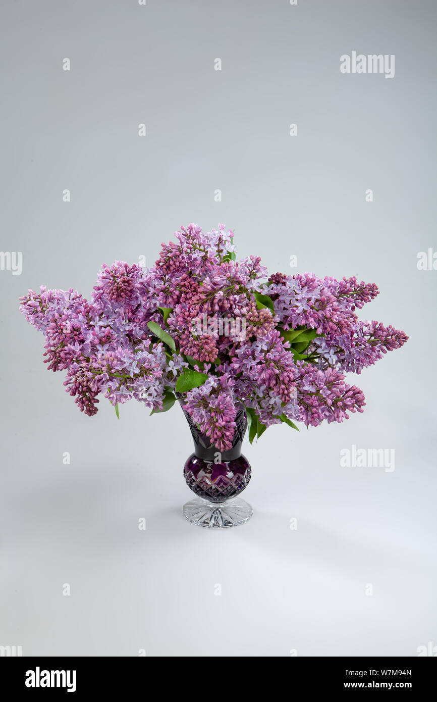 Bouquet with flowers on a studio background Stock Photo - Alamy