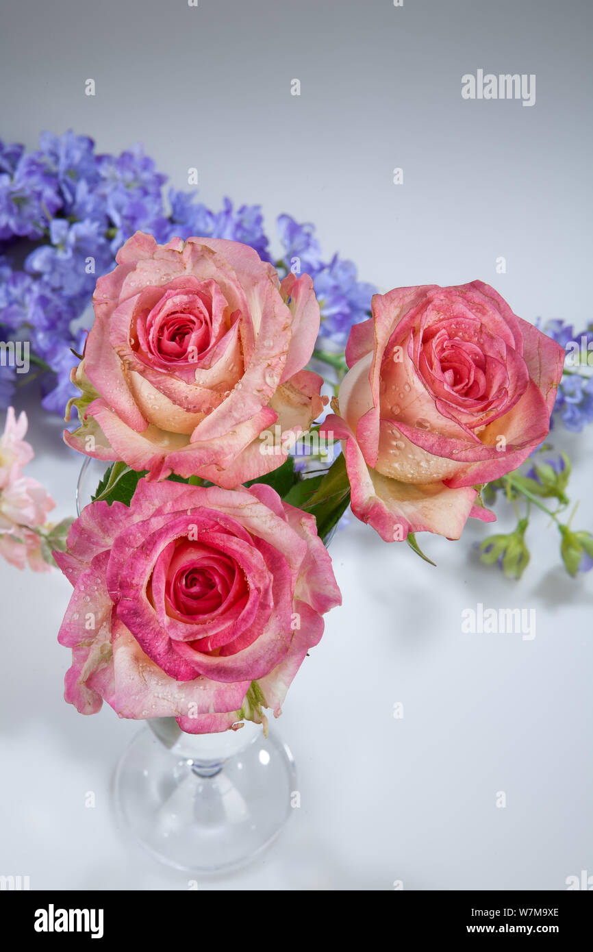 Bouquet with flowers on a studio background Stock Photo - Alamy