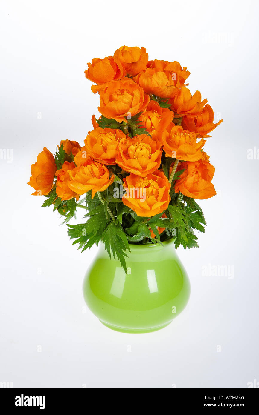 Bouquet with flowers on a studio background Stock Photo - Alamy