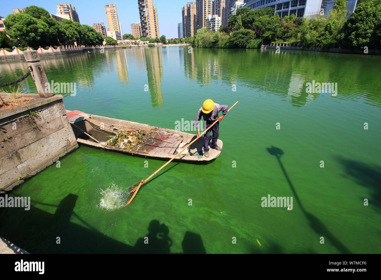 Algae cleaner hi-res stock photography and images - Alamy