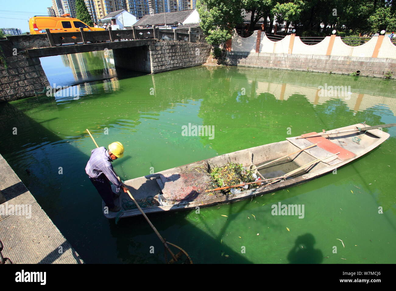 Algae cleaner hi-res stock photography and images - Alamy