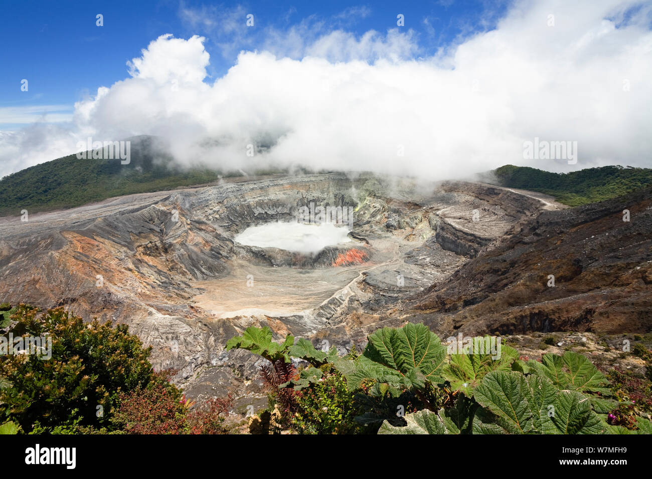 Looking down into Poas Volcano crater, Poas National Park, Costa Rica ...