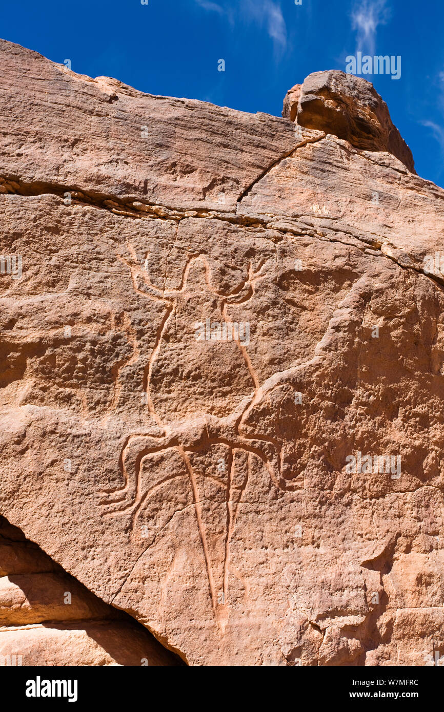 Tribal art lizard hi-res stock photography and images - Alamy