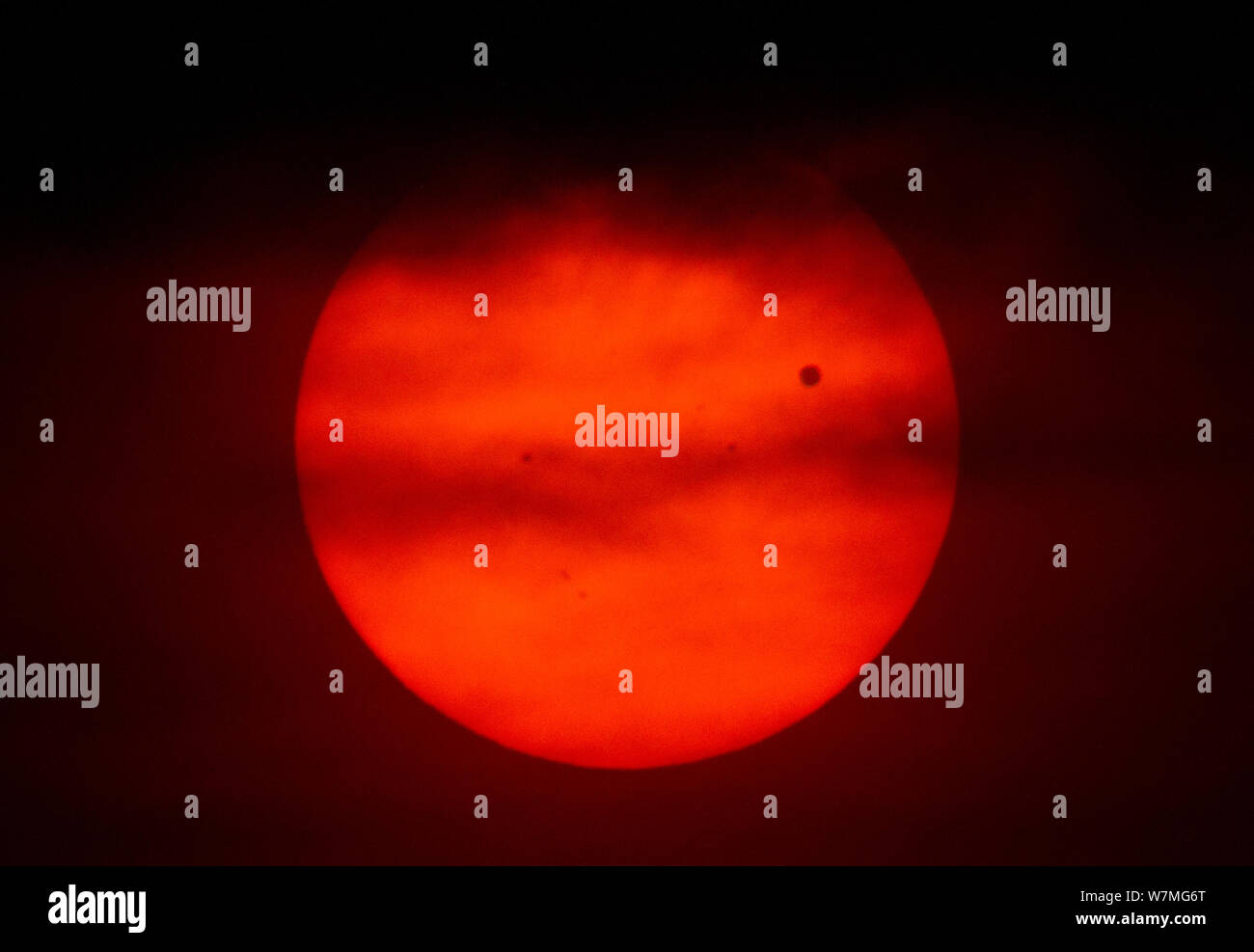 The transit of Venus across the face of the sun, with visible sunspots ...