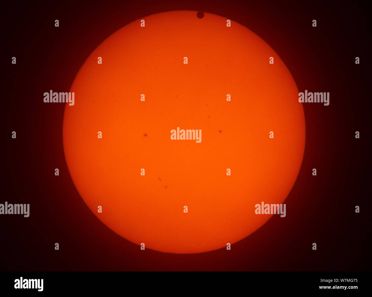 The transit of Venus across the face of the sun, with visible sunspots ...