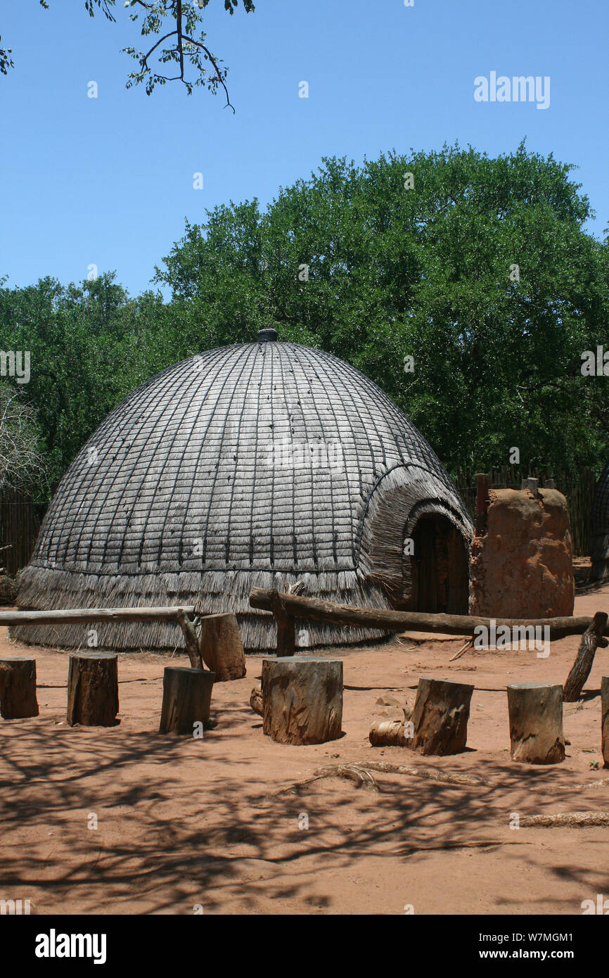 Zulu hut at Shakaland Zulu Cultural Village, Eshowe, Kwazulu Natal ...