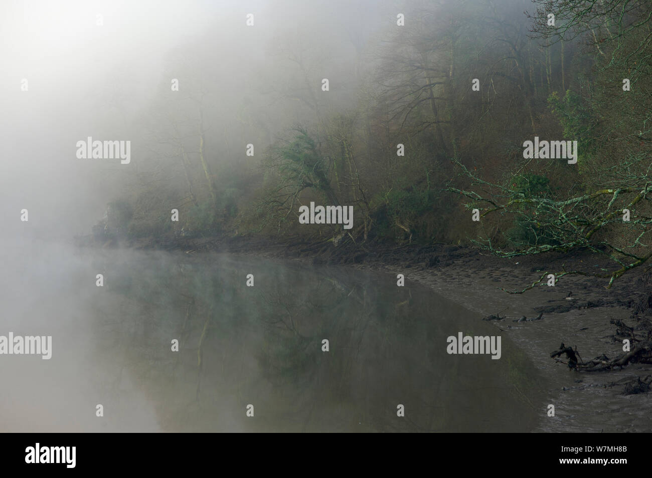 Devon mist hi-res stock photography and images - Alamy