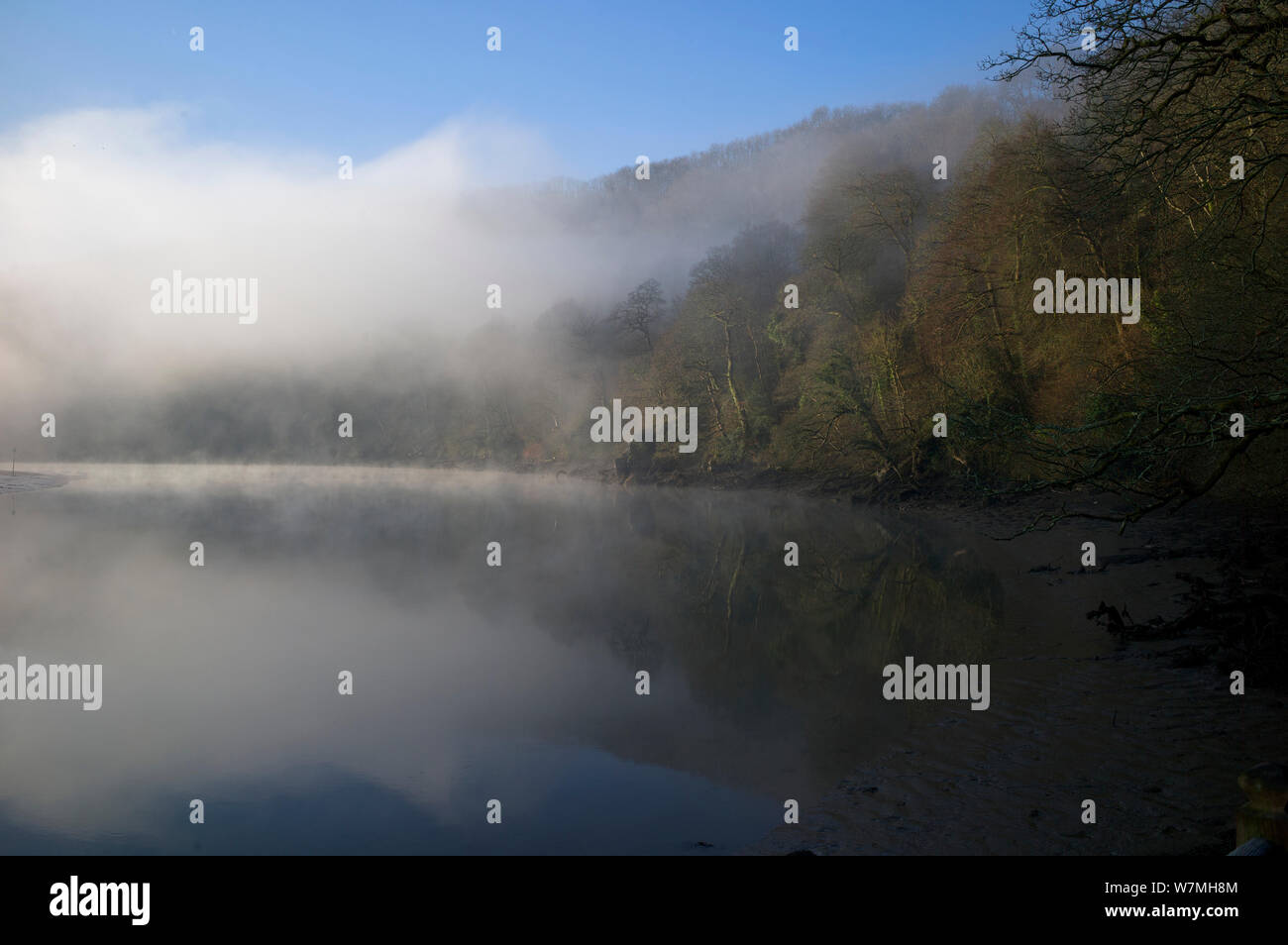 Devon rivers hi-res stock photography and images - Alamy