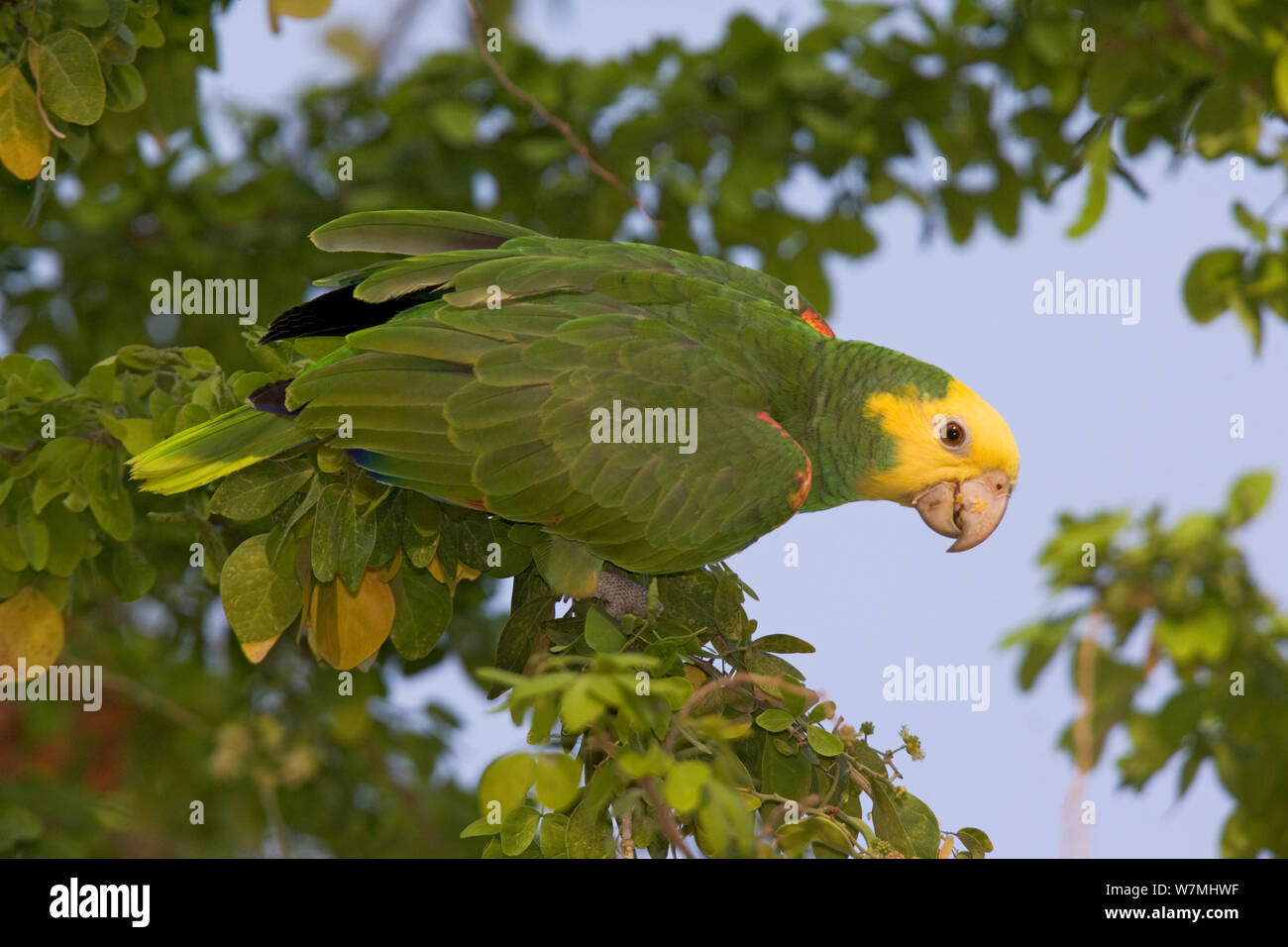 Maria madre island mexico hi-res stock photography and images - Alamy