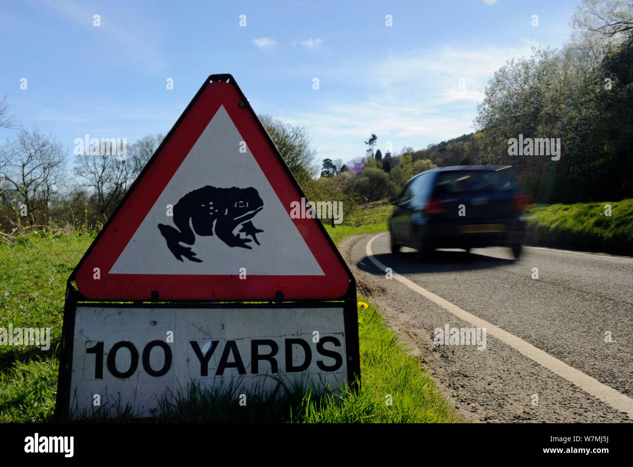 Toad crossing sign hi-res stock photography and images - Alamy