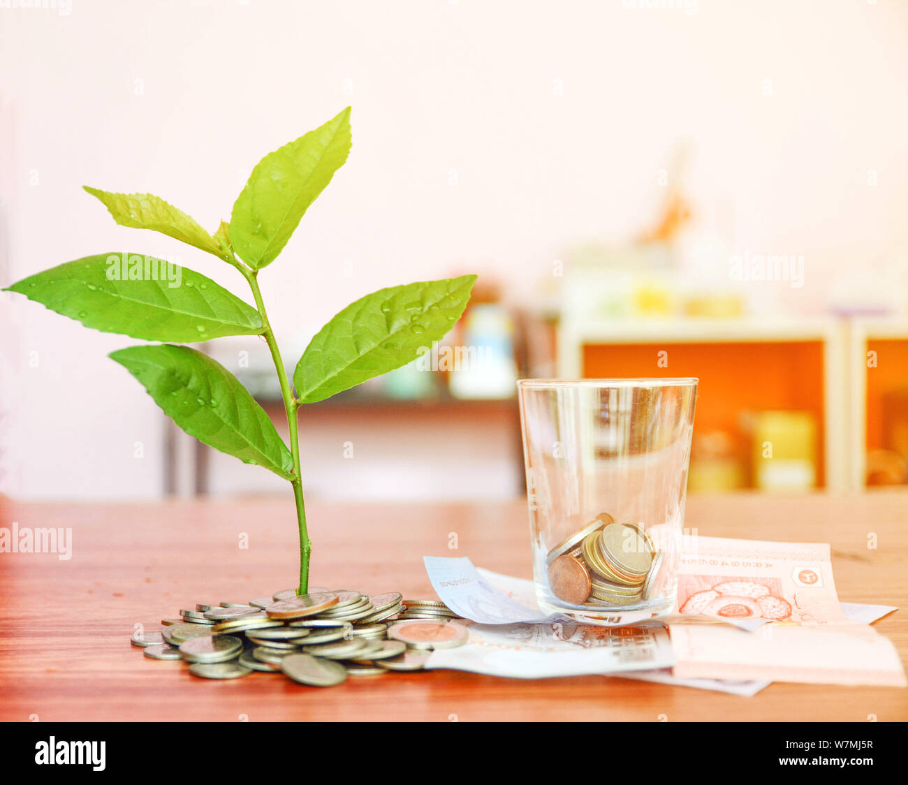Save tree hi-res stock photography and images - Alamy