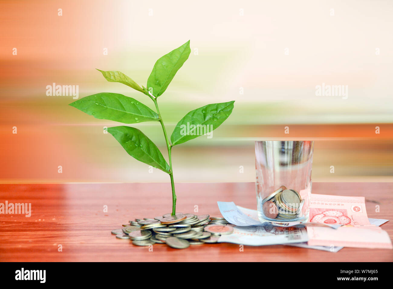 Save tree hi-res stock photography and images - Alamy