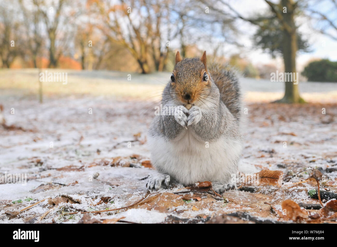 Scotland parks hi-res stock photography and images - Alamy