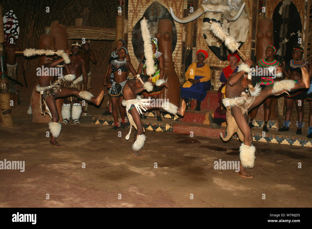 Traditional Zulu dancing at Shakaland Zulu Cultural Village, Eshowe ...