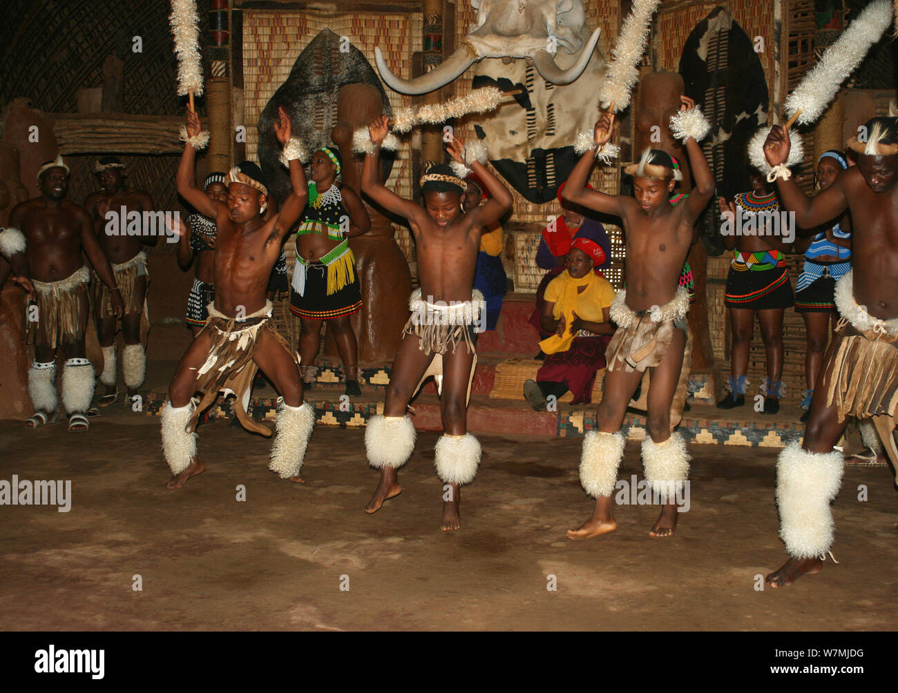 Zulu dance hi-res stock photography and images - Alamy