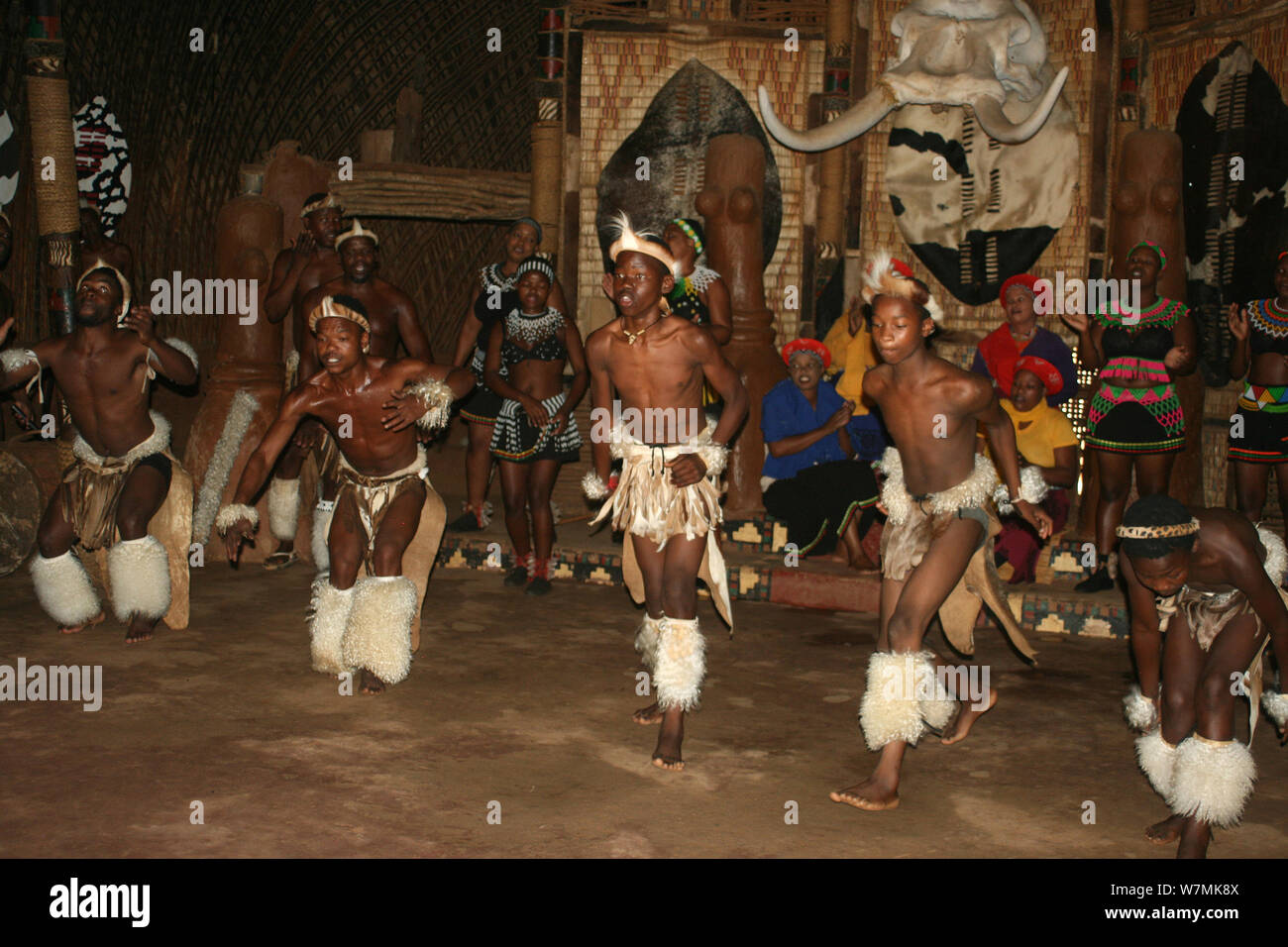 Traditional Zulu dancing at Shakaland Zulu Cultural Village, Eshowe ...