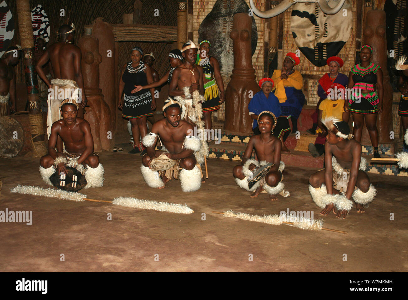 Traditional Zulu dancing at Shakaland Zulu Cultural Village, Eshowe, Kwazulu Natal, South Africa ...