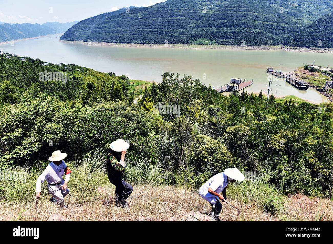 Forestry workers are patrolling along the Yangtze River despite ...