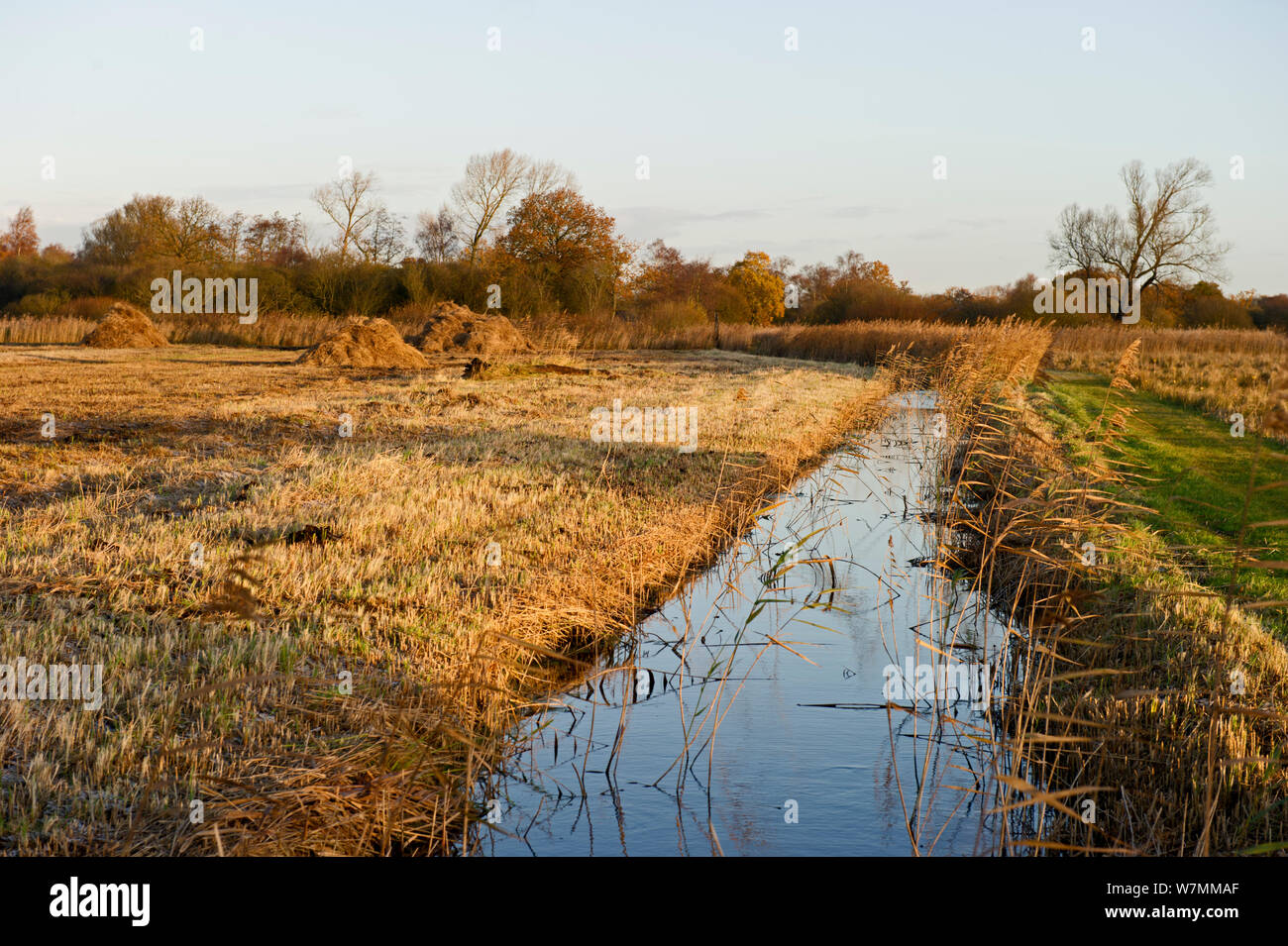 Uk fens hi-res stock photography and images - Alamy