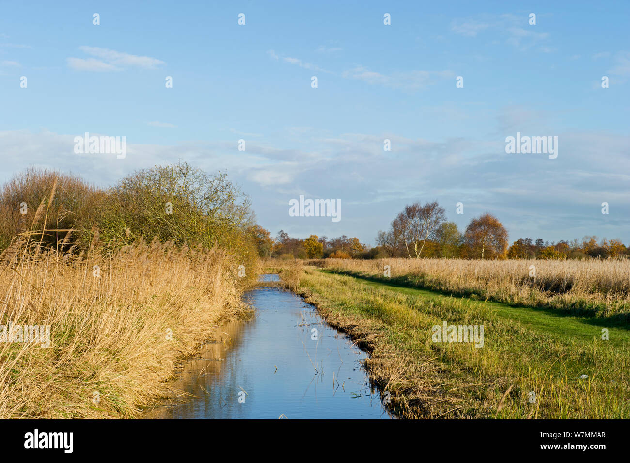 Fenland landscapes hi-res stock photography and images - Alamy