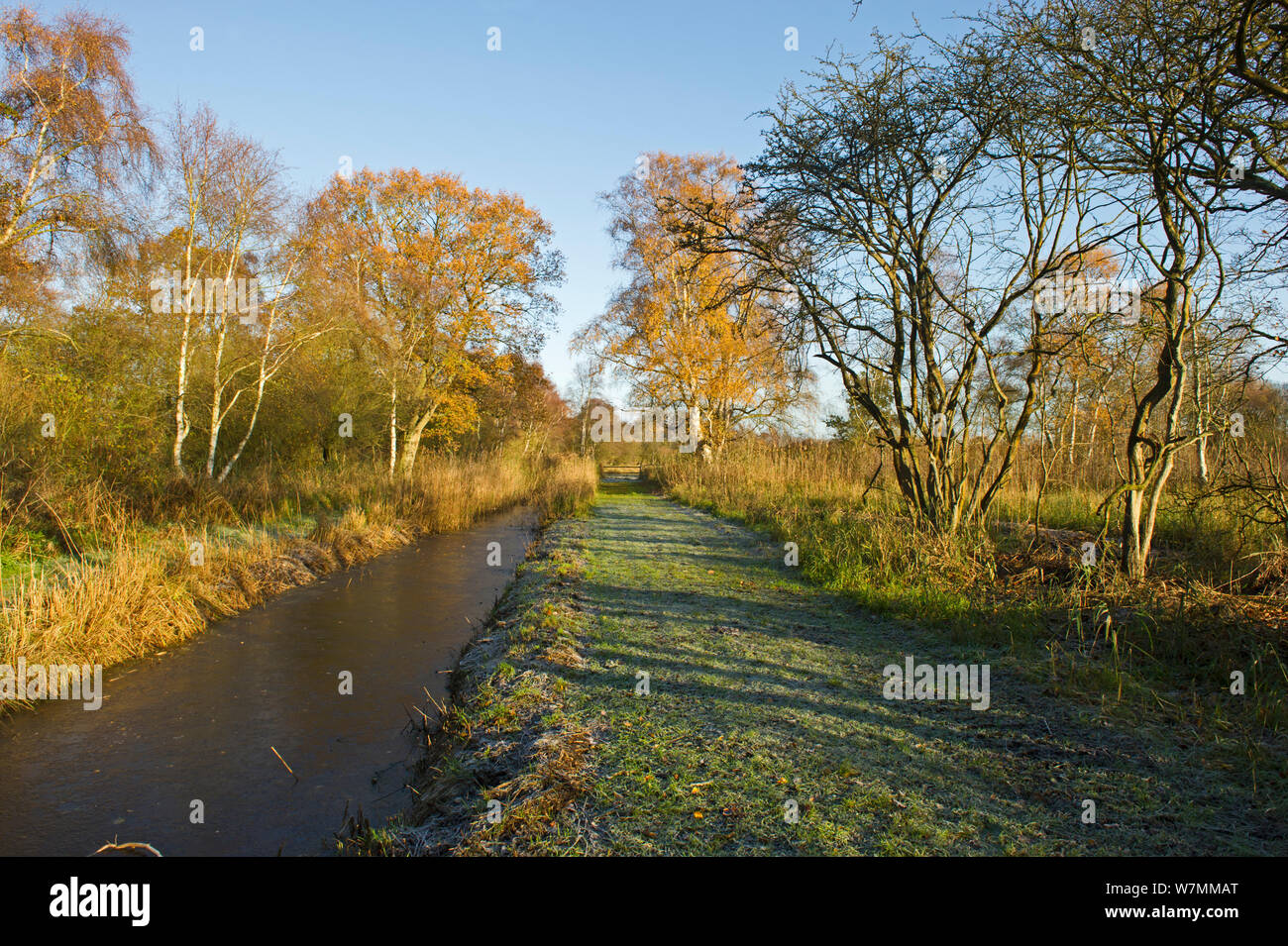Fens uk hi-res stock photography and images - Alamy