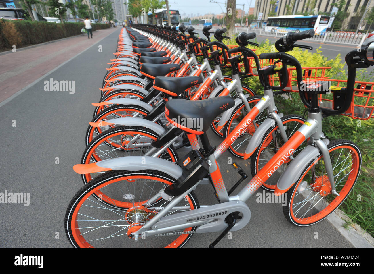 --FILE--Bicycles of Chinese bike sharing service Mobike are lined up on ...