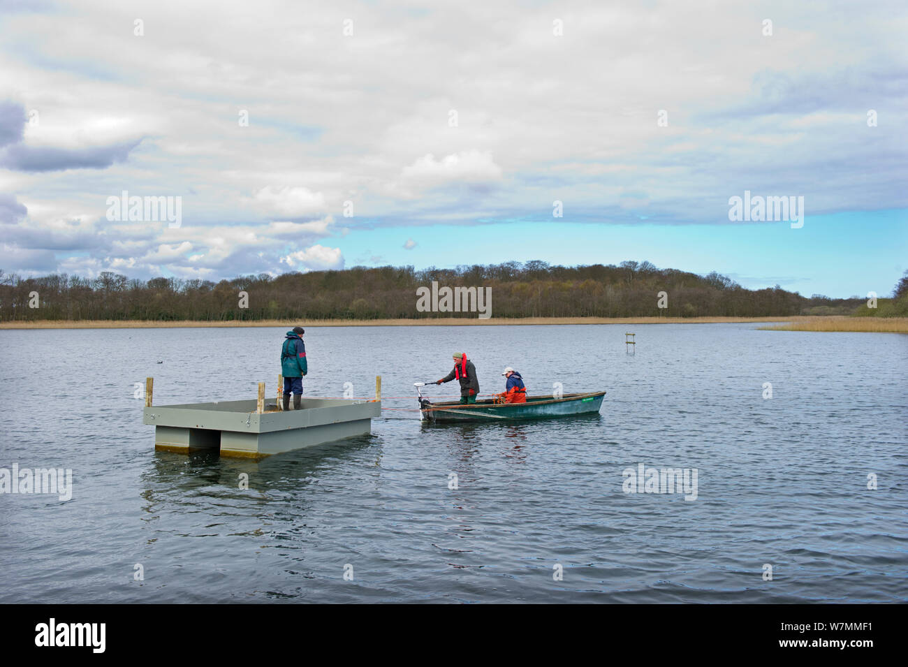 Tern nesting raft hi-res stock photography and images - Alamy