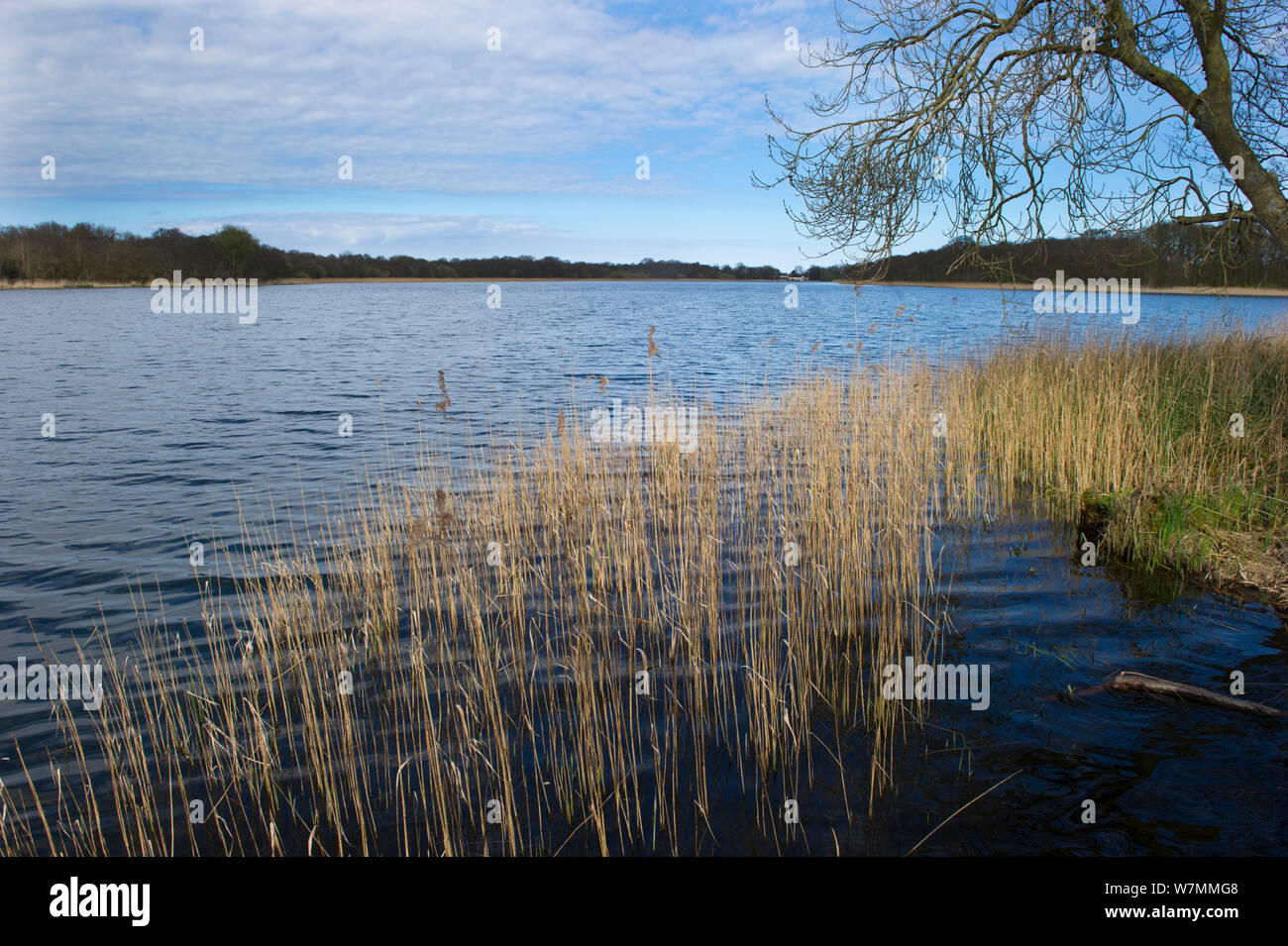 Ormesby little broad hi-res stock photography and images - Alamy