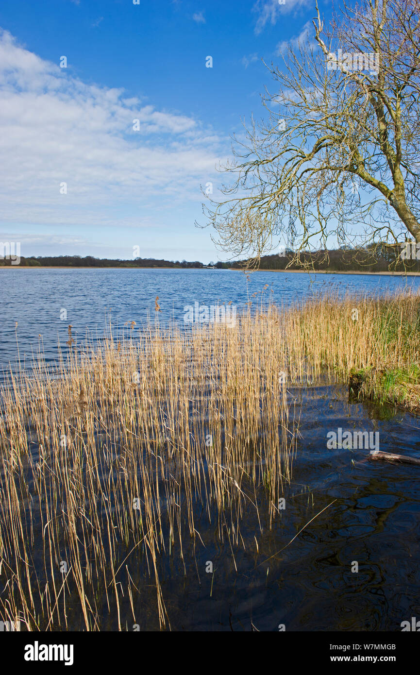 Trinity broad norfolk hi-res stock photography and images - Alamy