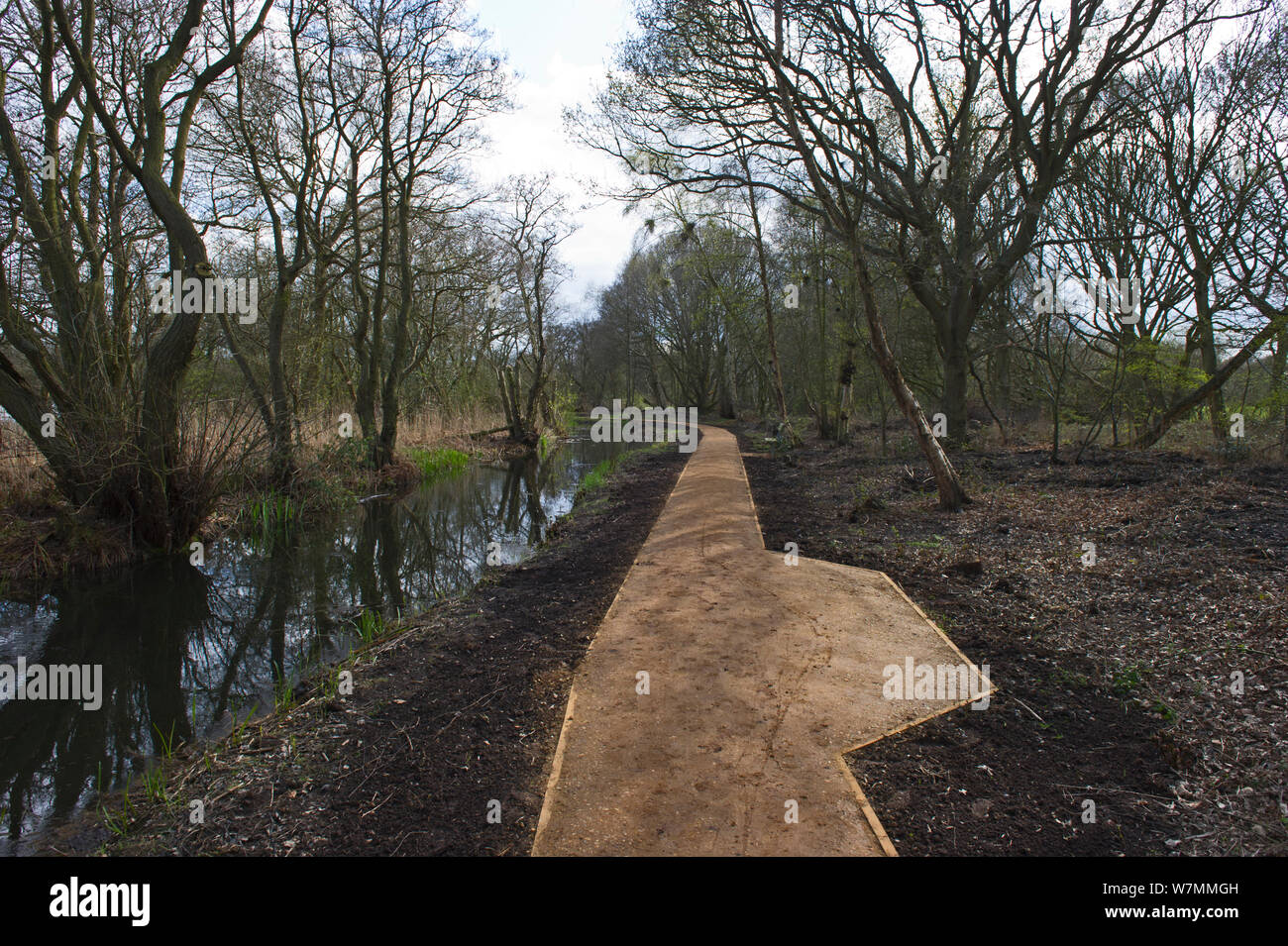 New path to look-out hide over Oremby Little Broad, Trinity Broads ...