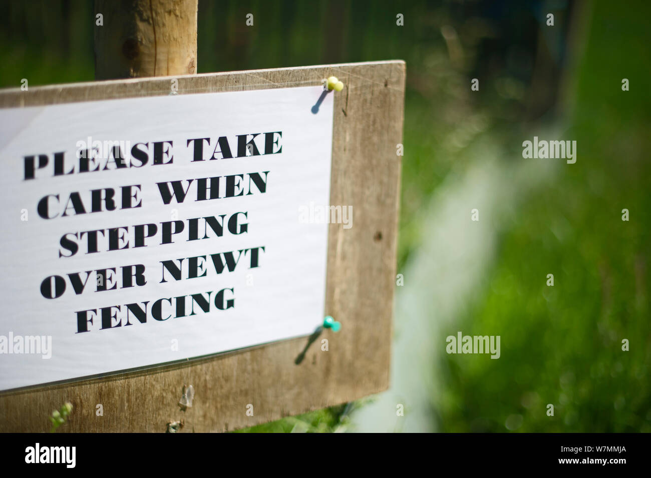 Newt fence sign erected at lagoon creation area to ensure Great crested ...