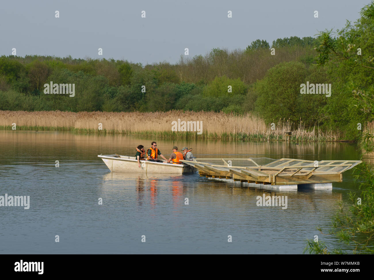 Raft For Terns High Resolution Stock Photography and Images - Alamy