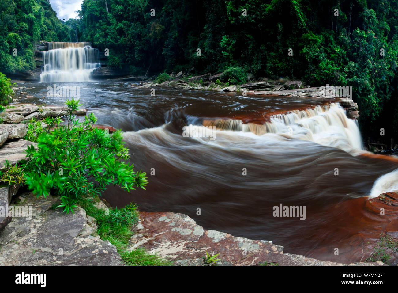 Maliau Falls on the Maliau River, centre of Maliau Basin, Sabah's 'Lost ...