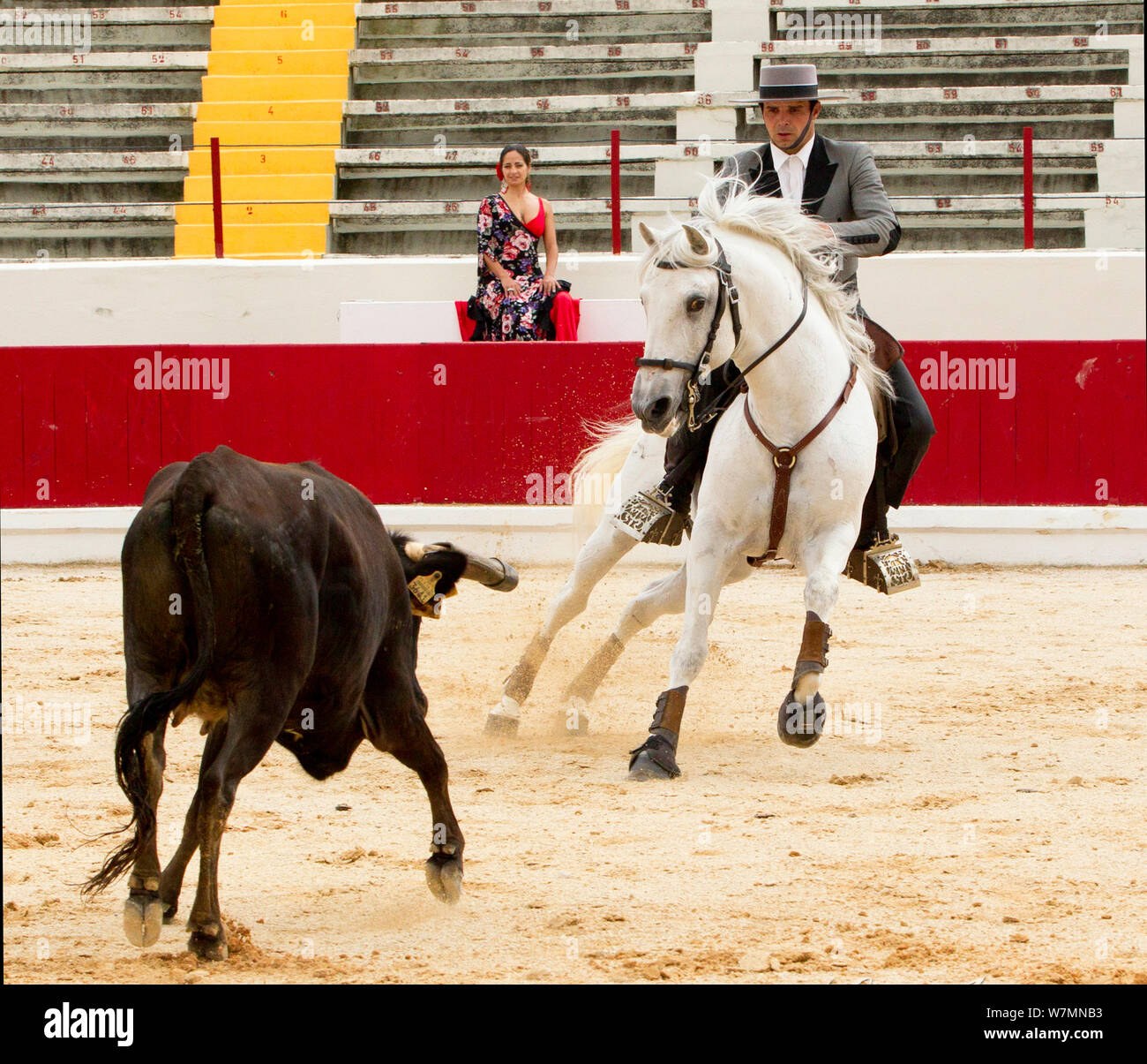 Bullfighting portugal hi-res stock photography and images - Alamy